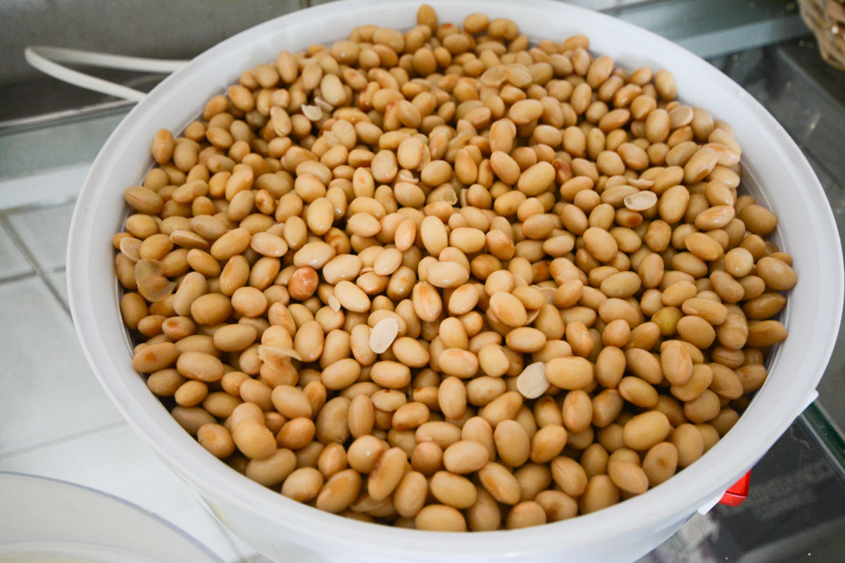 Fermented vs Unfermented Soy: An Easy + Handy Guide